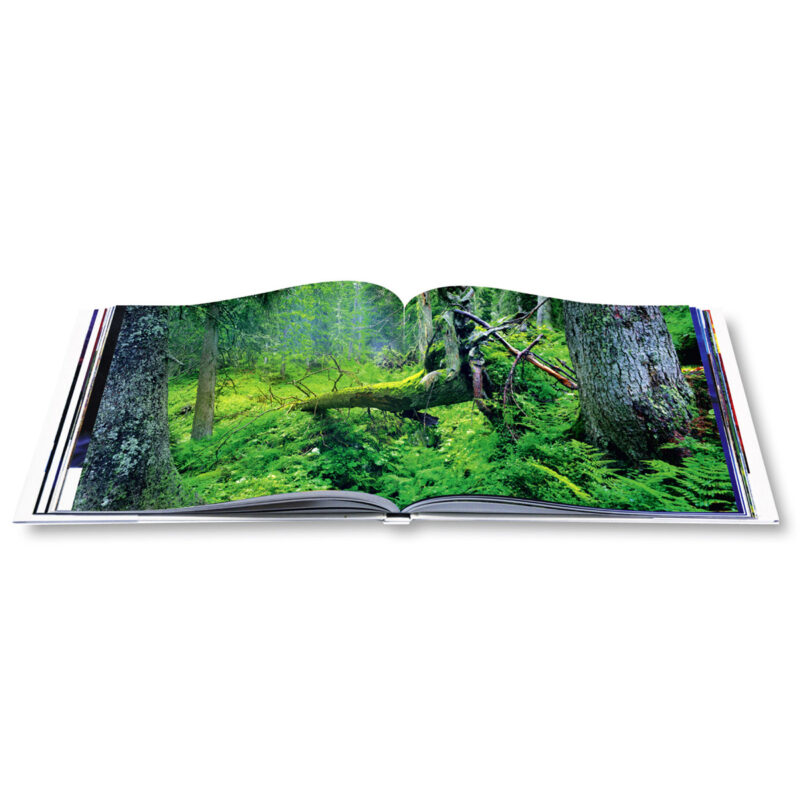 Book Swiss Vision – Patrick Loertscher